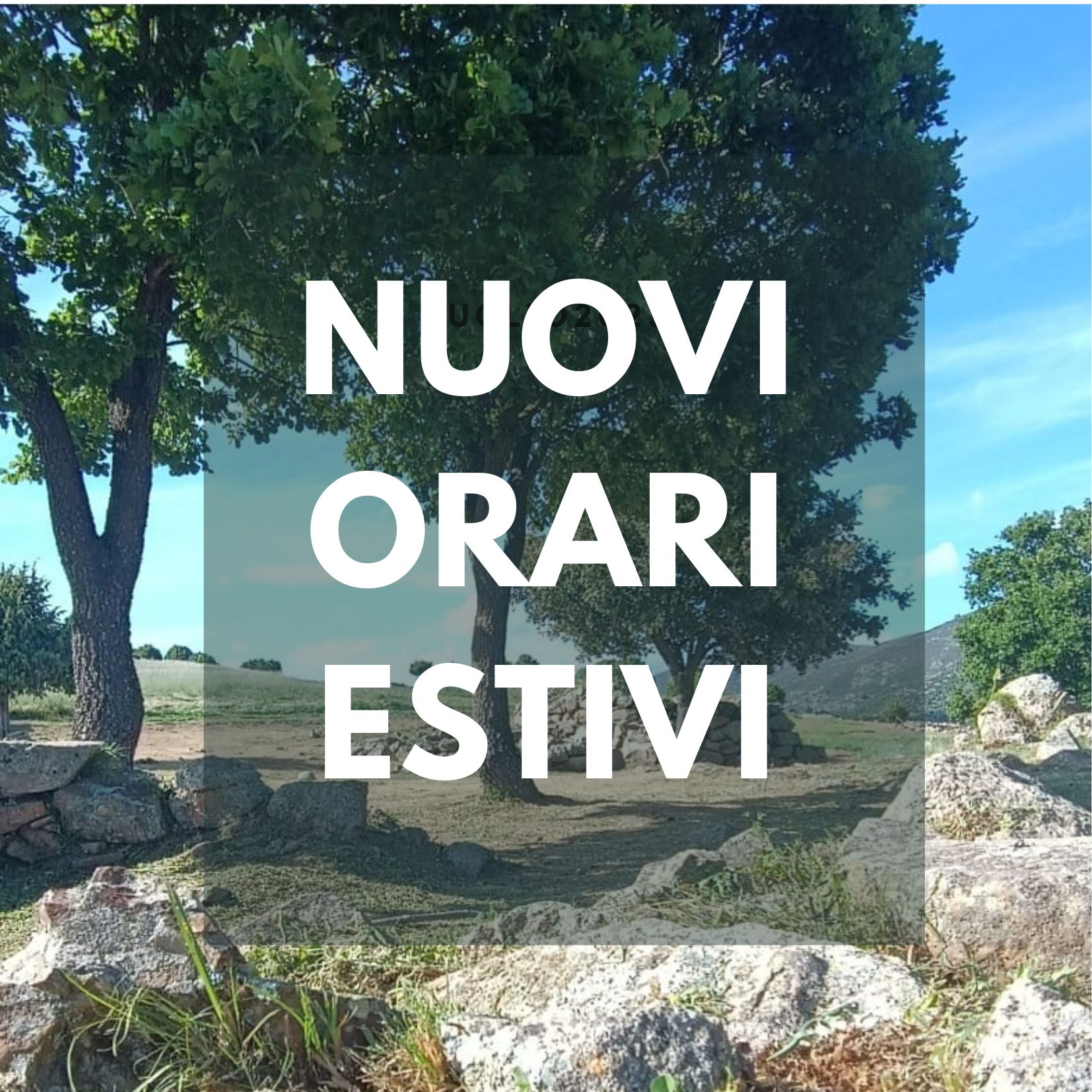 Nuovi orari per l'estate :: ArcheoNova s.r.l.